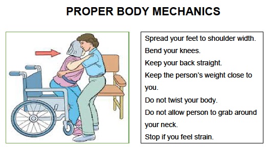 Know the Basics of Proper Body Mechanics - Adult Family Care : Adult ...